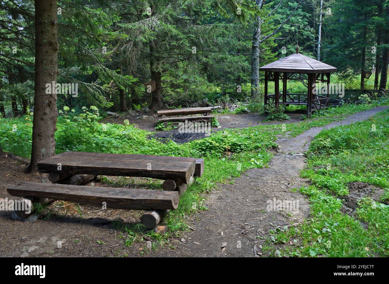 A cozy corner with coniferous forest, alcove, wooden table and benches ...