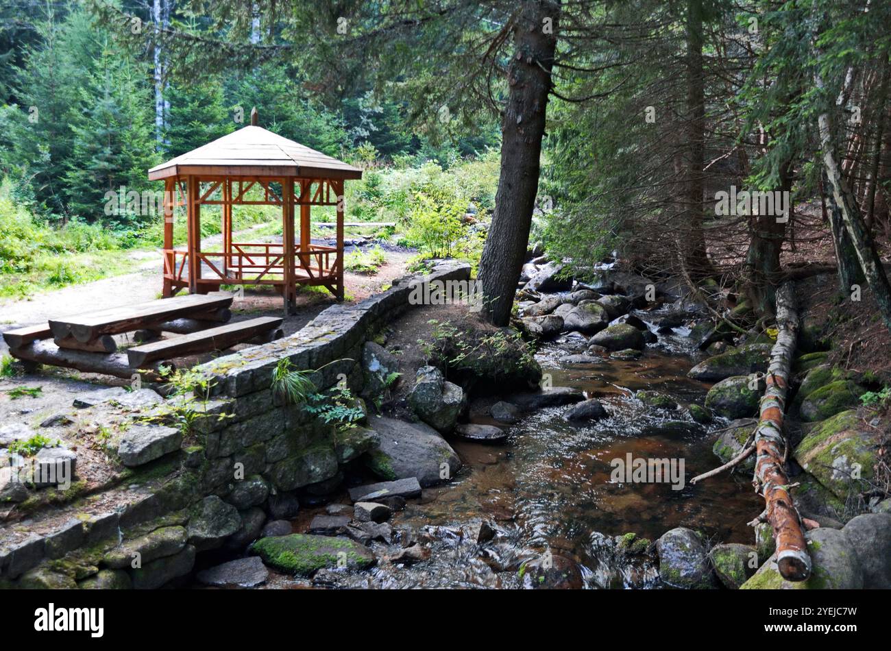 A cozy corner with coniferous forest, alcove, wooden table and benches ...