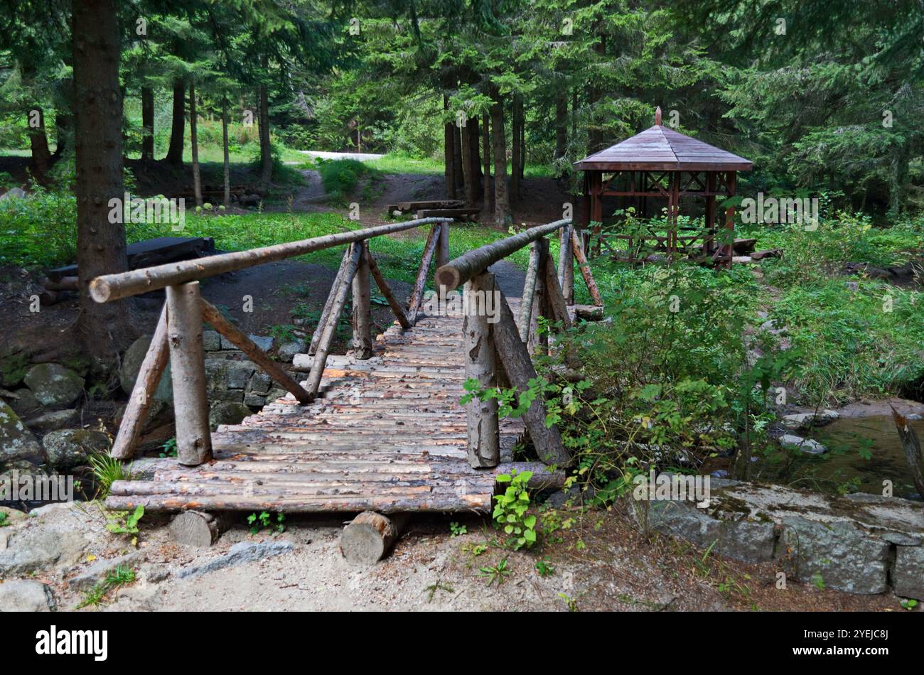 A cozy corner with coniferous forest, alcove, wooden table and benches ...