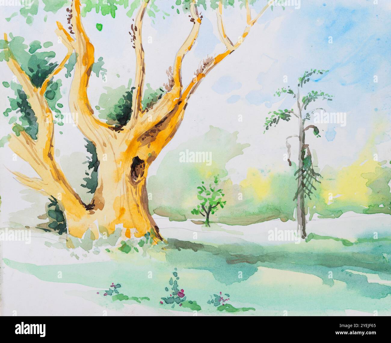 Beautiful scenery of a park. Bright daytime watercolor painting of sky ...