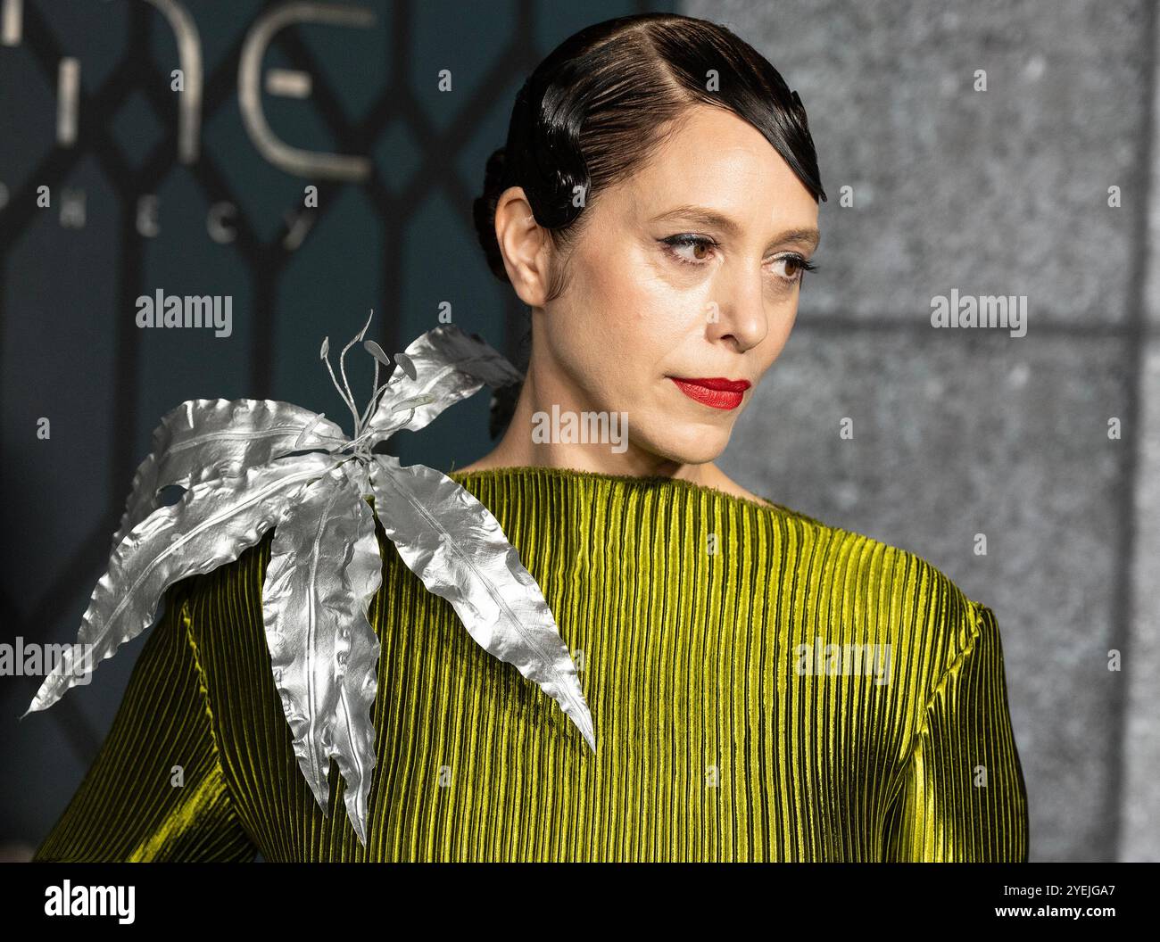 New York, United States. 30th Oct, 2024. Jodhi May attends premiere of ...