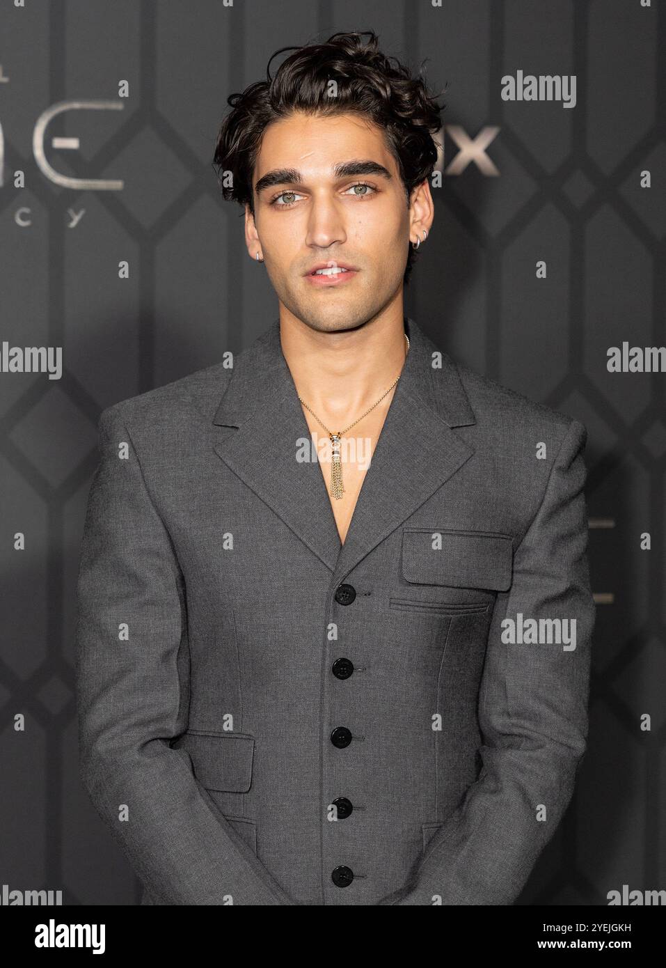 New York, United States. 30th Oct, 2024. Josh Heuston attends premiere ...