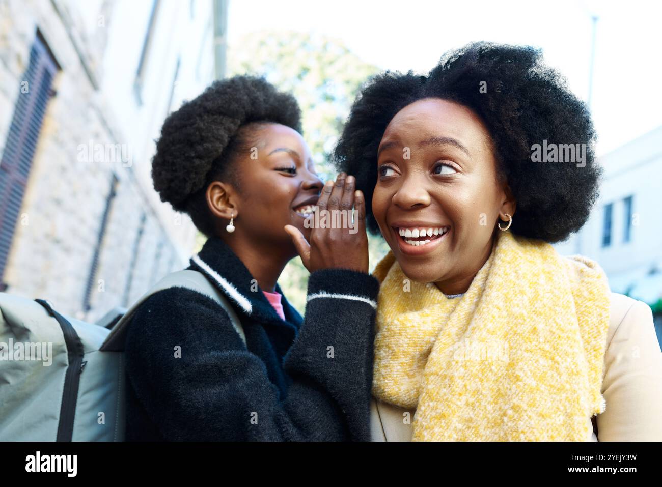 Two Friends Sharing a Secret on a Sunny Day in the City, Expressing Joy ...