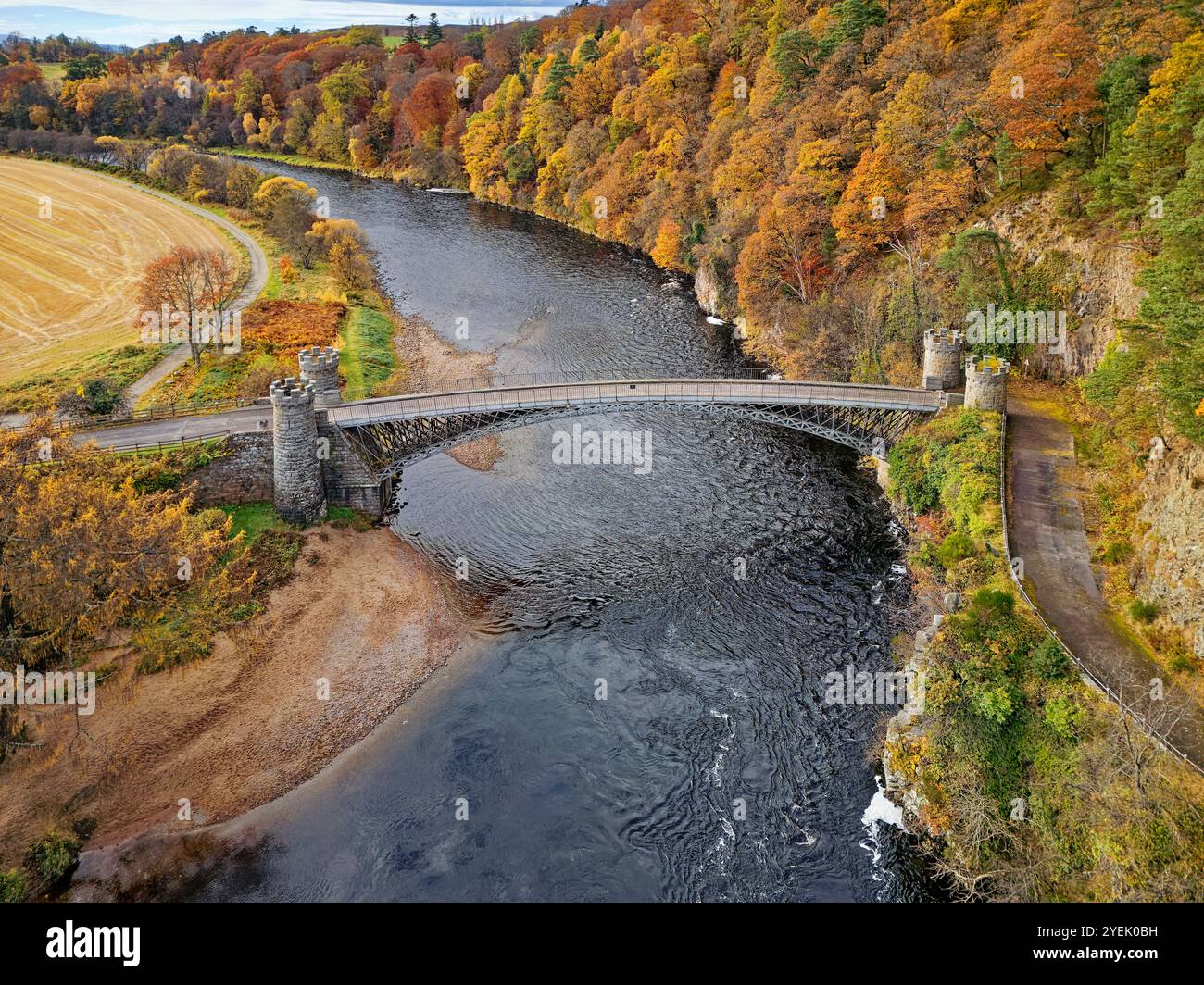 Craigellachie Moray Scotland birch and beech trees in autumn colours ...