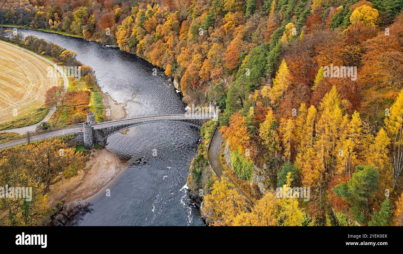 Craigellachie Moray Scotland the birch larch and beech trees in vibrant ...