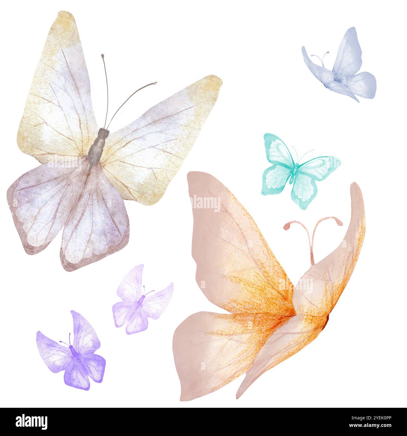 Butterflies, beautiful romantic set. Pink, cream and purple butterflies ...