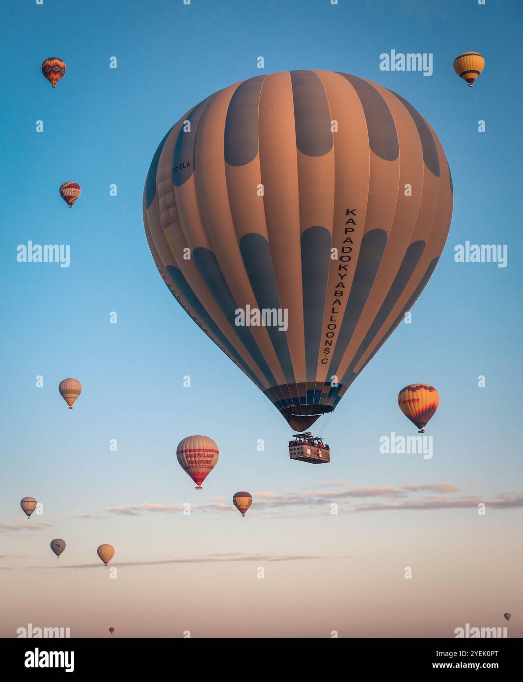 At sunrise numerous colorful hot air balloons float gracefully over ...