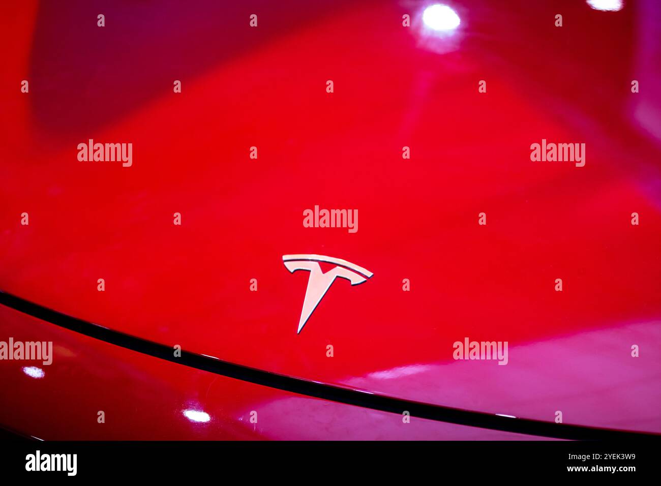 Belarus, Minsk - 06 october, 2024: A closeup of the striking Tesla logo ...