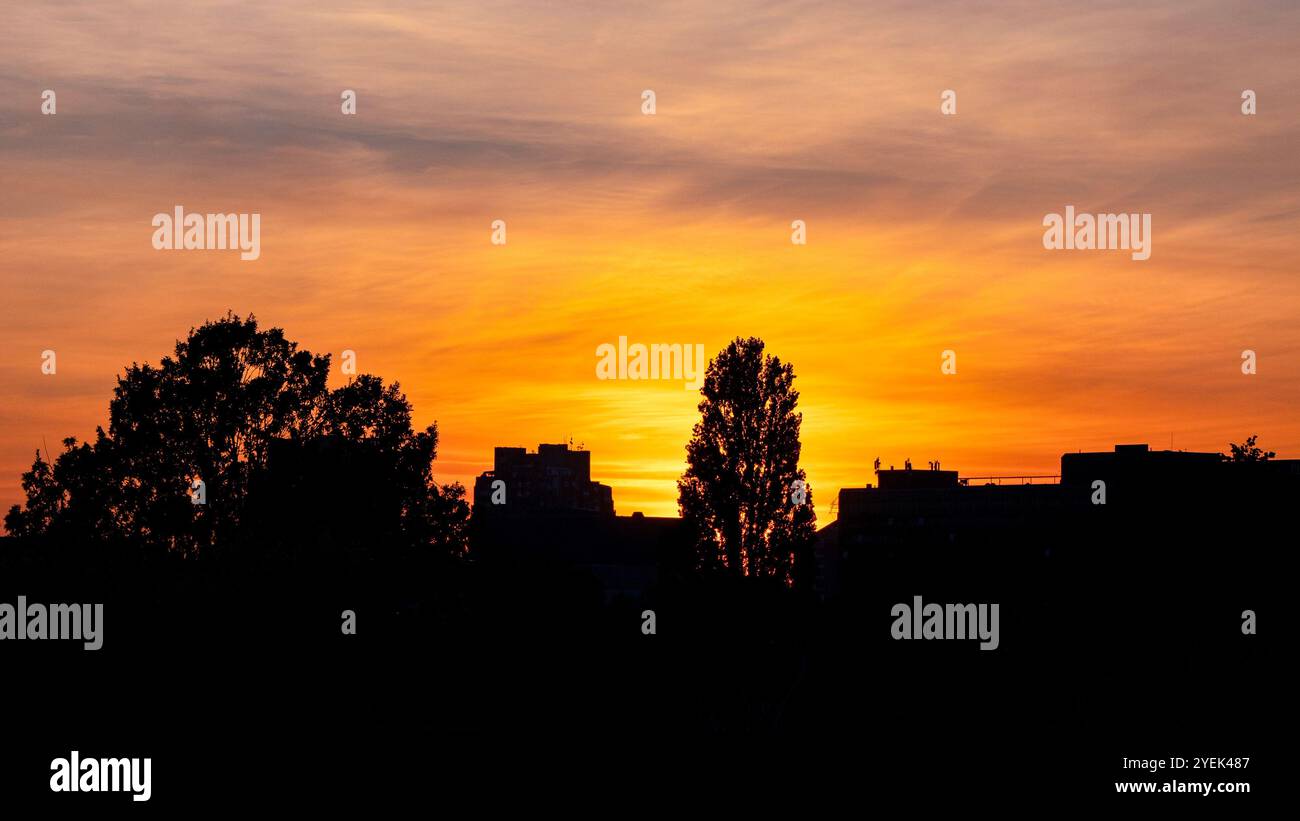 Environment and beautiful trees hi-res stock photography and images - Alamy