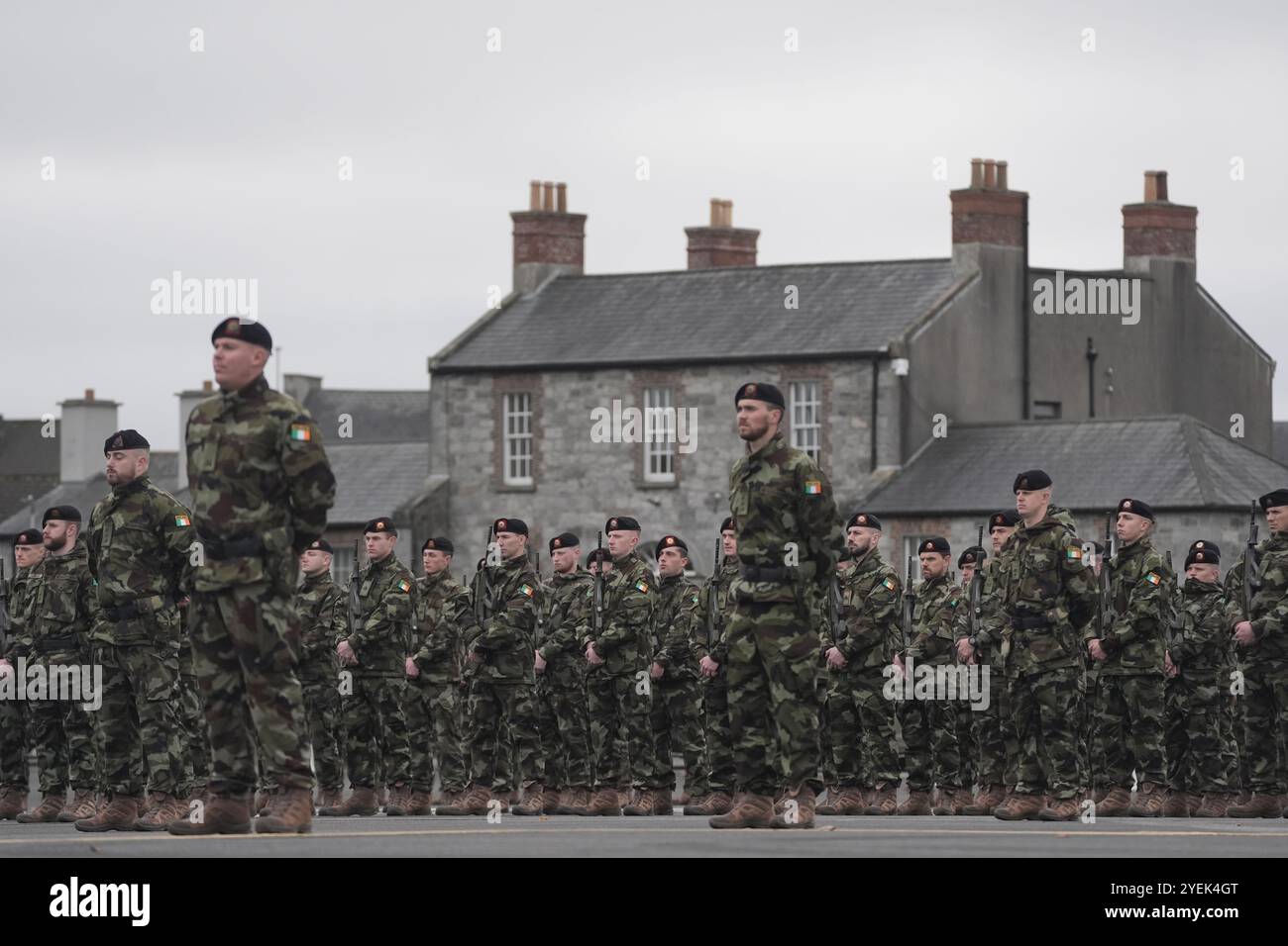 Tanaiste and Minister for Defence, Micheal Martin during a review of ...