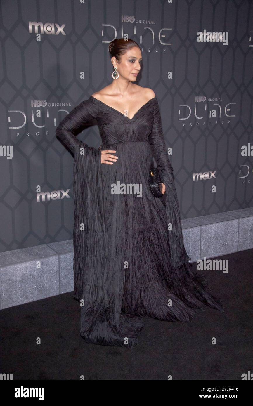 New York, United States. 30th Oct, 2024. Tabu attends the world ...