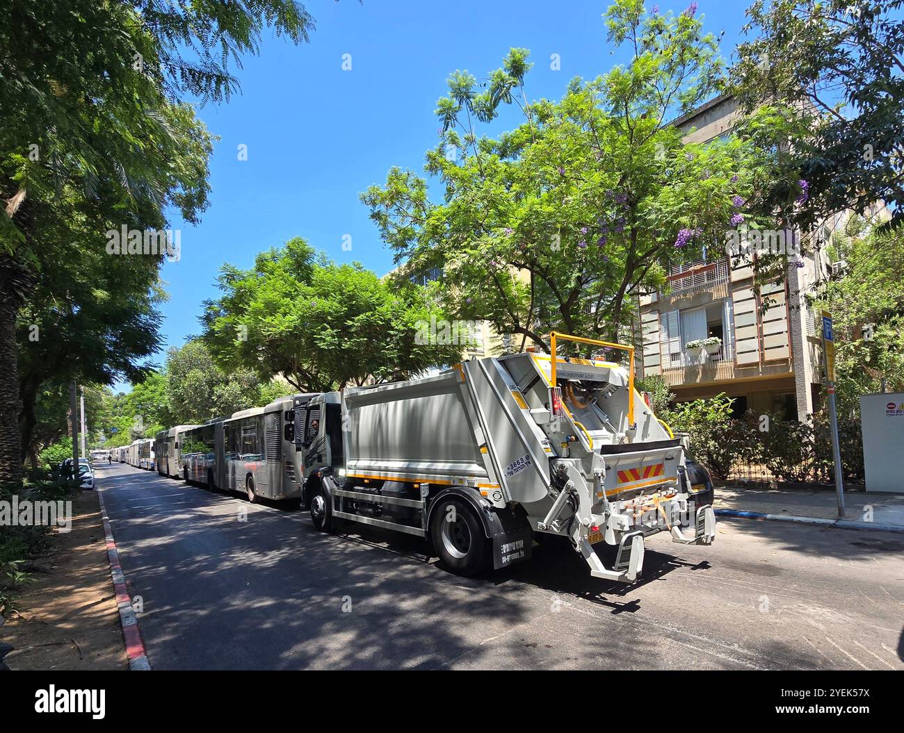 David hamelech hi-res stock photography and images - Alamy
