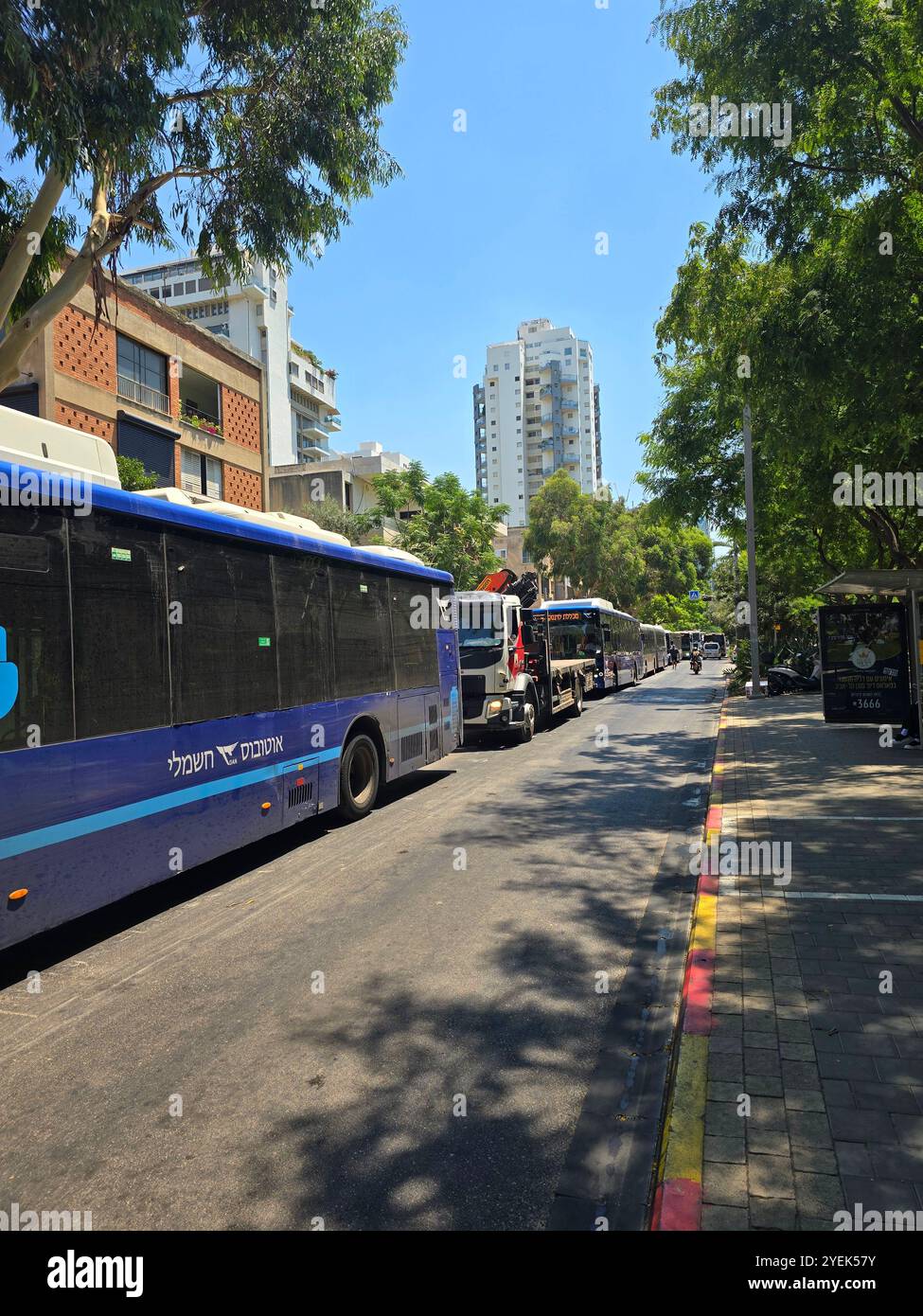 David hamelech street hi-res stock photography and images - Alamy