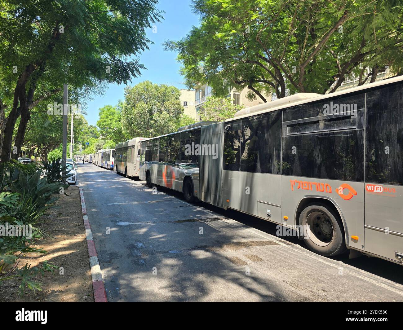 David hamelech street hi-res stock photography and images - Alamy