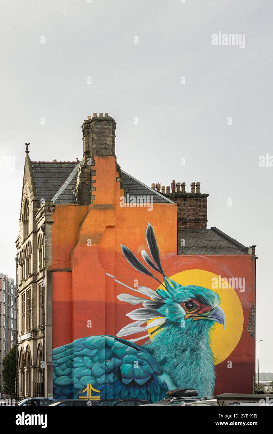 Liverpool, UK - Oct 07, 2023 - Colourful graffiti of a Liver bird (the ...