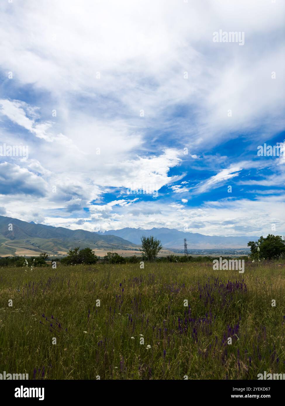 Spacious spring field with green grasses and distant mountain ranges ...