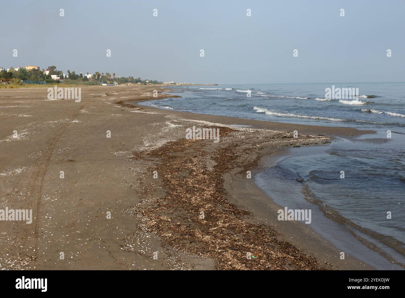 Sandy beach on the southern coast of the Caspian Sea, Iran. Algae and ...