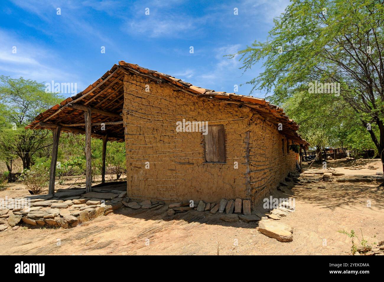 Wattle and daub house made with clay and wooden sticks, in the Caatinga ...