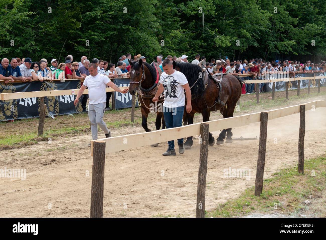 Owners showing their horse to audience at log pull event Stock Photo ...