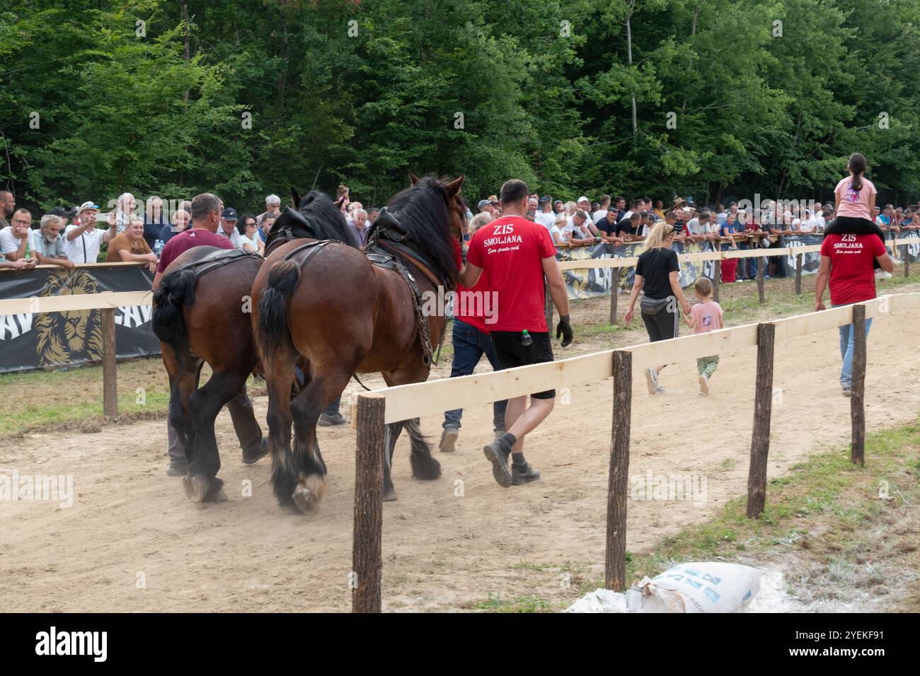 Owners showing their horse to audience at log pull event Stock Photo ...