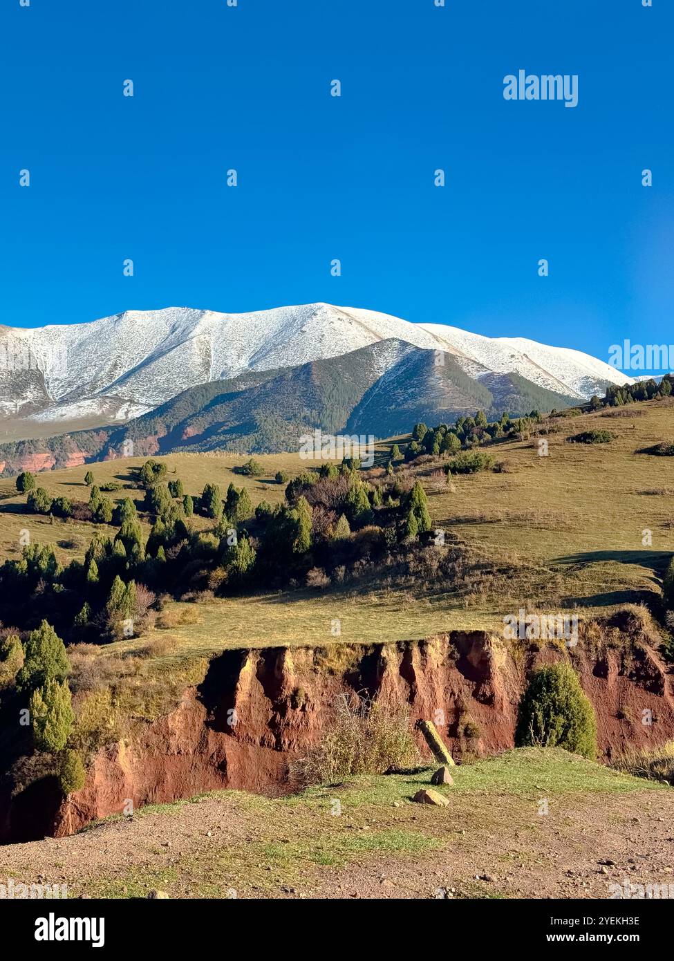 Red clay slopes with trees growing on them, set against hills and a ...