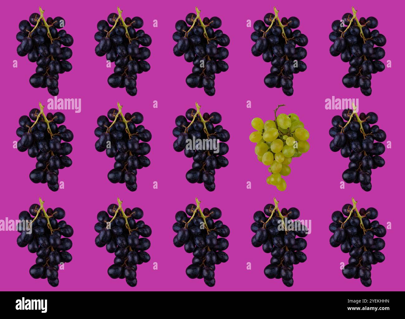 Vibrant clusters of grapes hi-res stock photography and images - Alamy