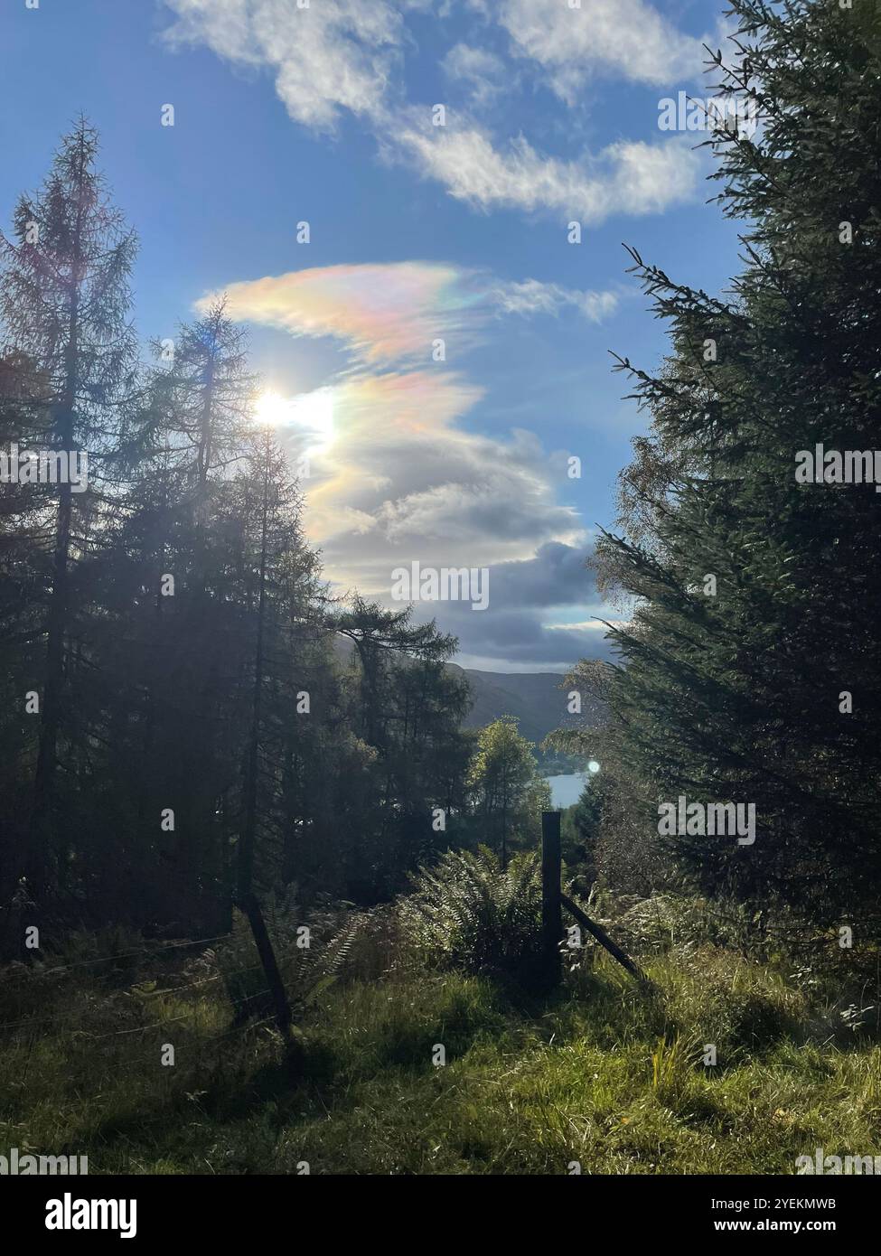 Scottish Nature Photographs Stock Photo - Alamy