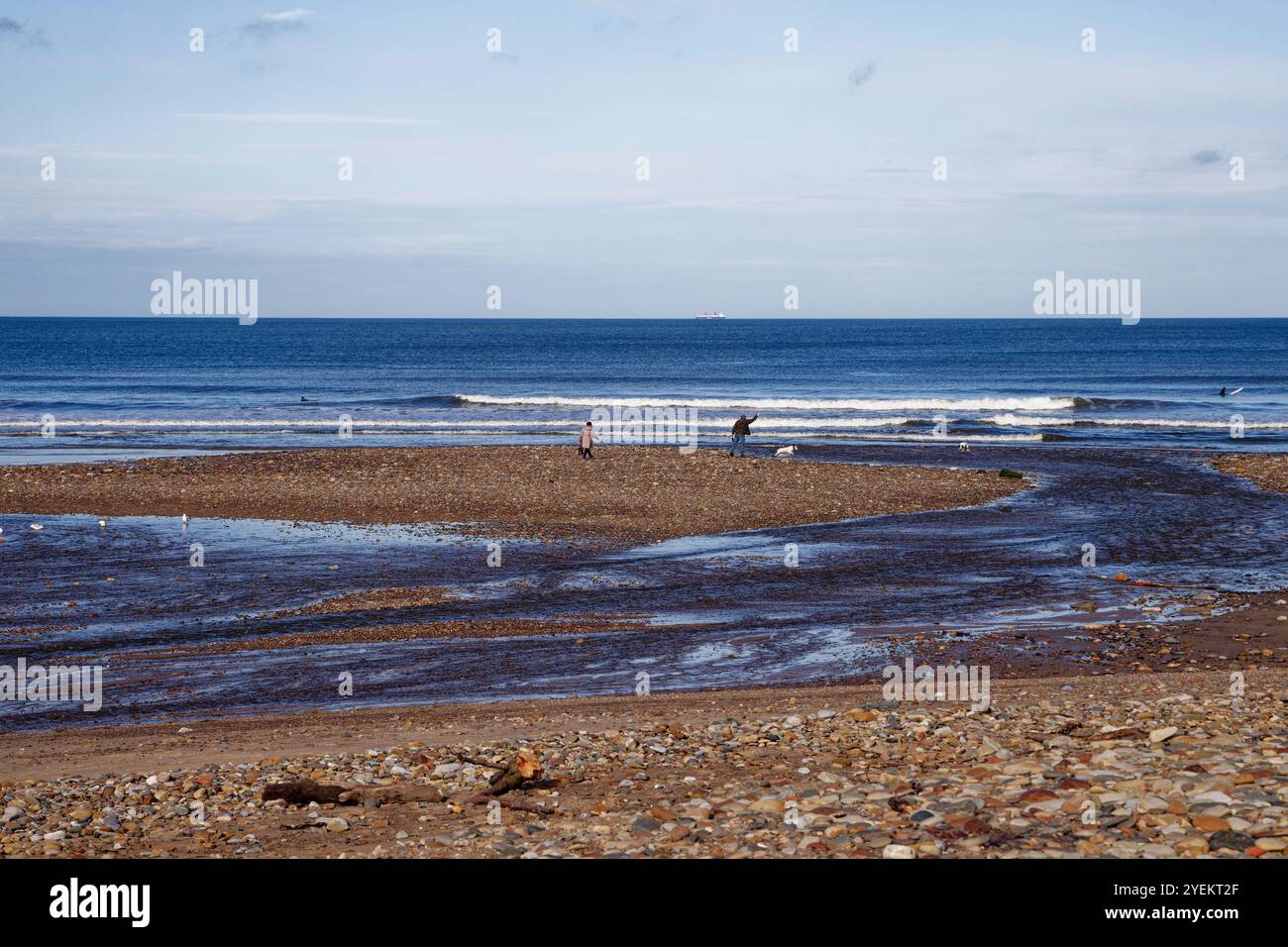 A man walks a dog at low tide across Saltburn Beach as the waters of ...