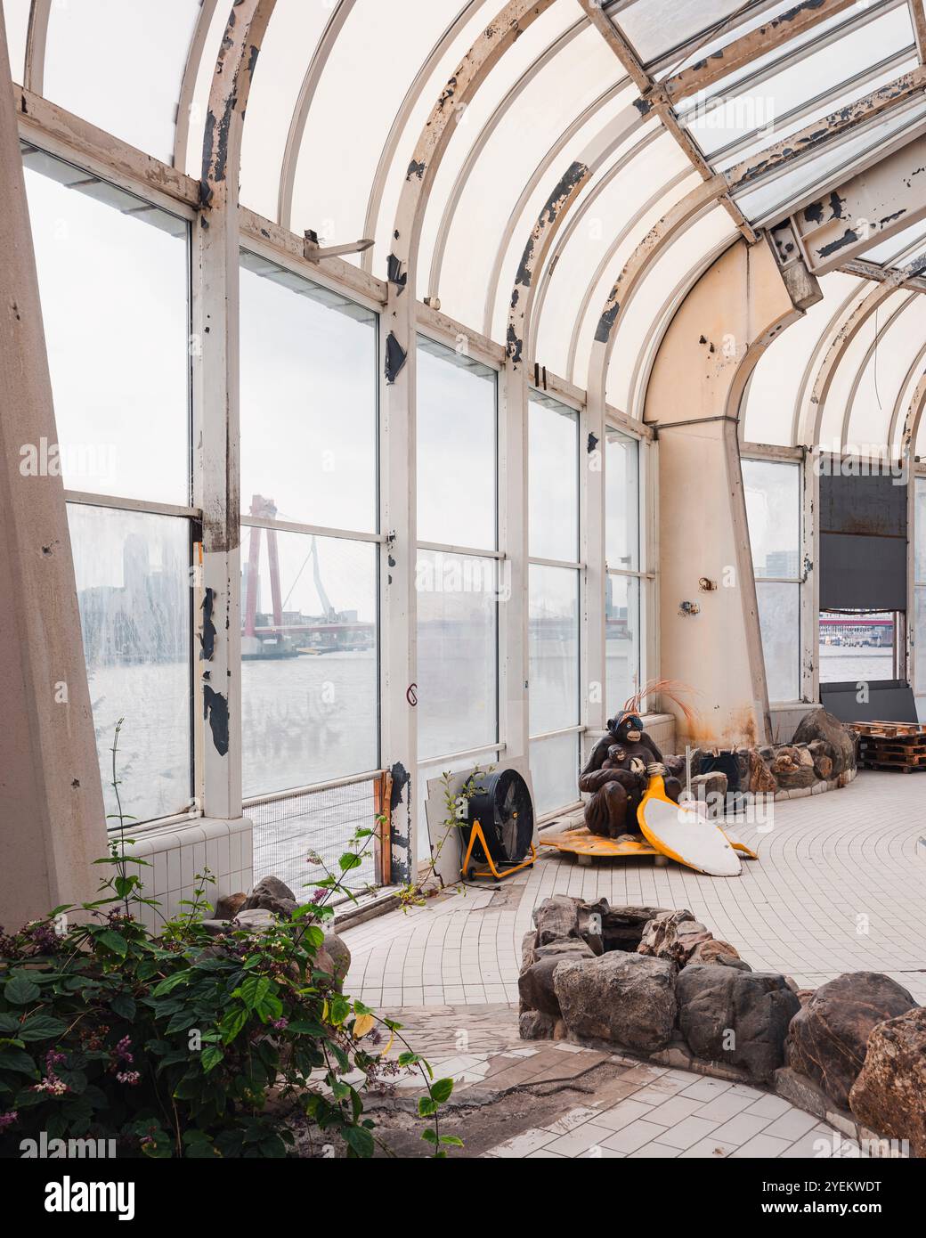 Tropicana Swimming Pool in Rotterdam, The Netherlands Stock Photo - Alamy