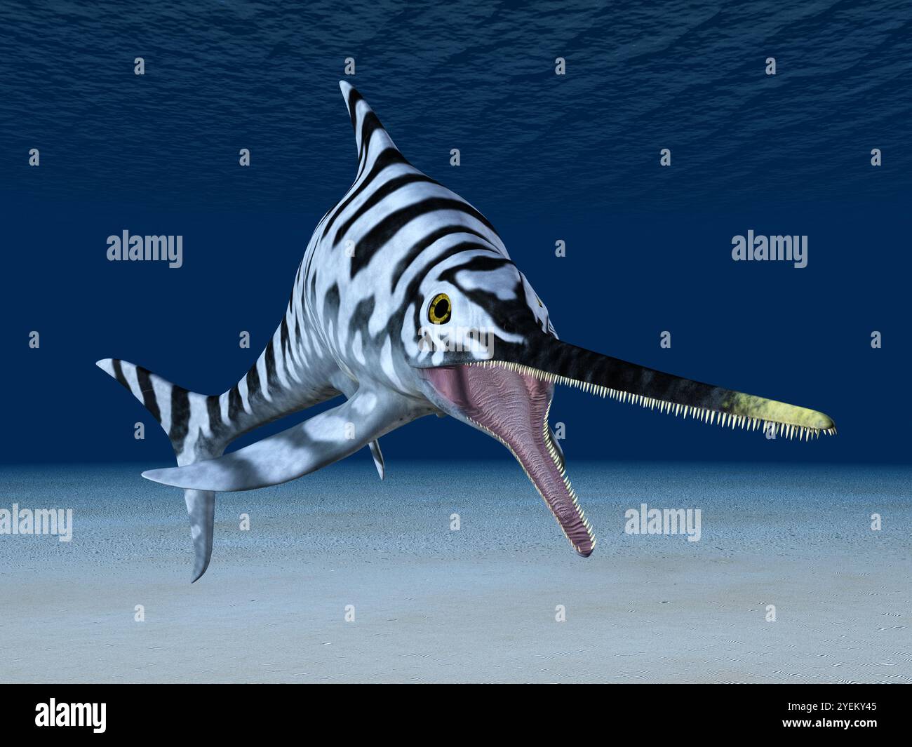 Ichthyosaur Eurhinosaurus in an underwater landscape Stock Photo - Alamy