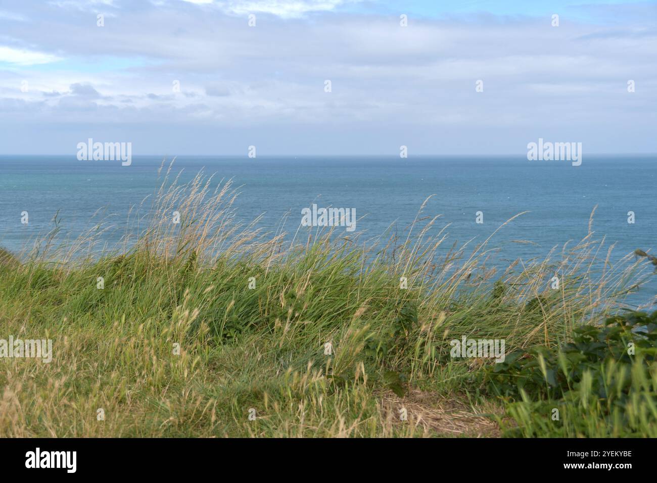Normandy beaches are known for Operation Overlord and D-Day. Muted ...