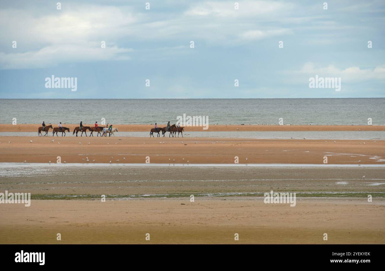 Normandy beaches are known for Operation Overlord and D-Day. Muted ...