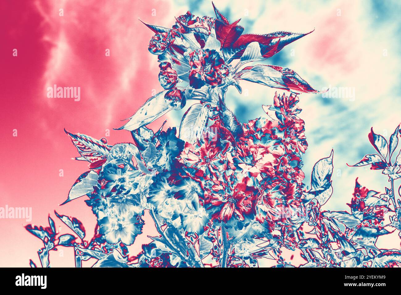 Hypnotic art illustrations hi-res stock photography and images - Alamy