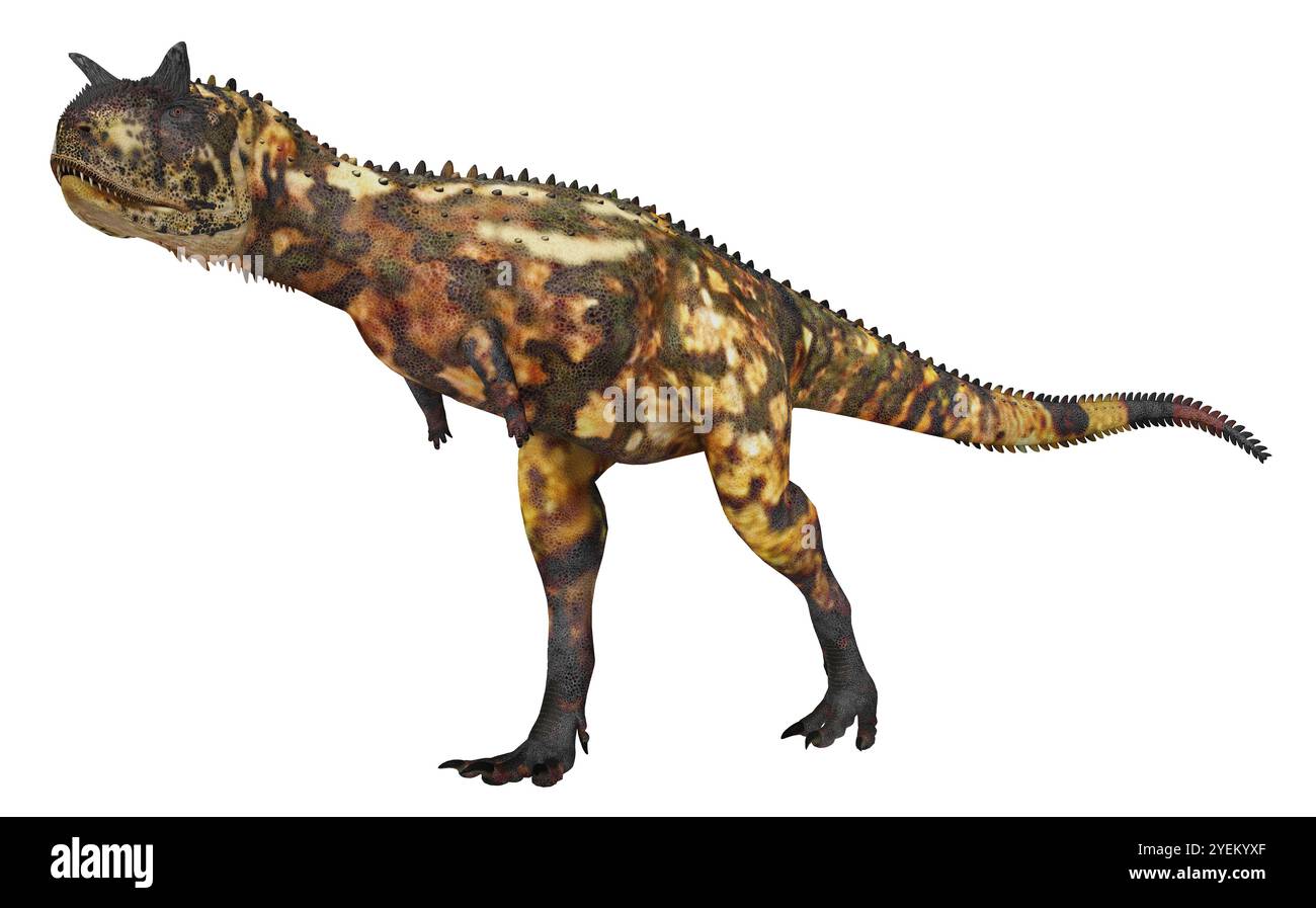 Dinosaur Carnotaurus isolated on white background Stock Photo - Alamy