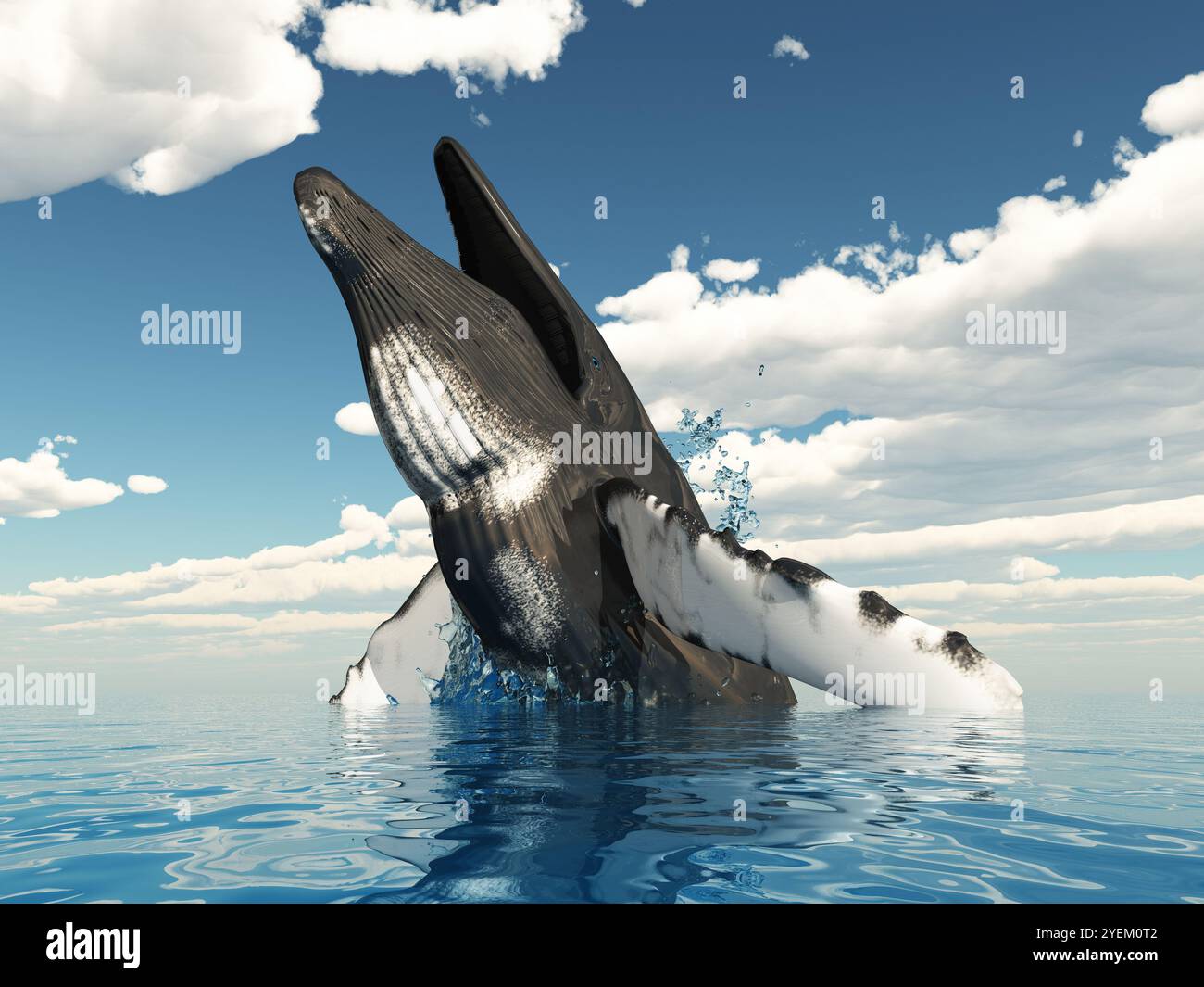 Humpback whale jumps out hi-res stock photography and images - Alamy