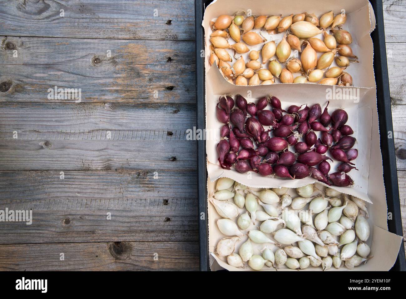 Mixed onion sets hi-res stock photography and images - Alamy