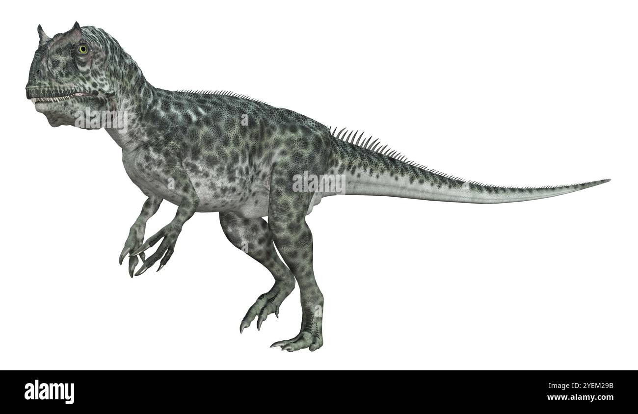 Dinosaur Allosaurus isolated on white background Stock Photo - Alamy