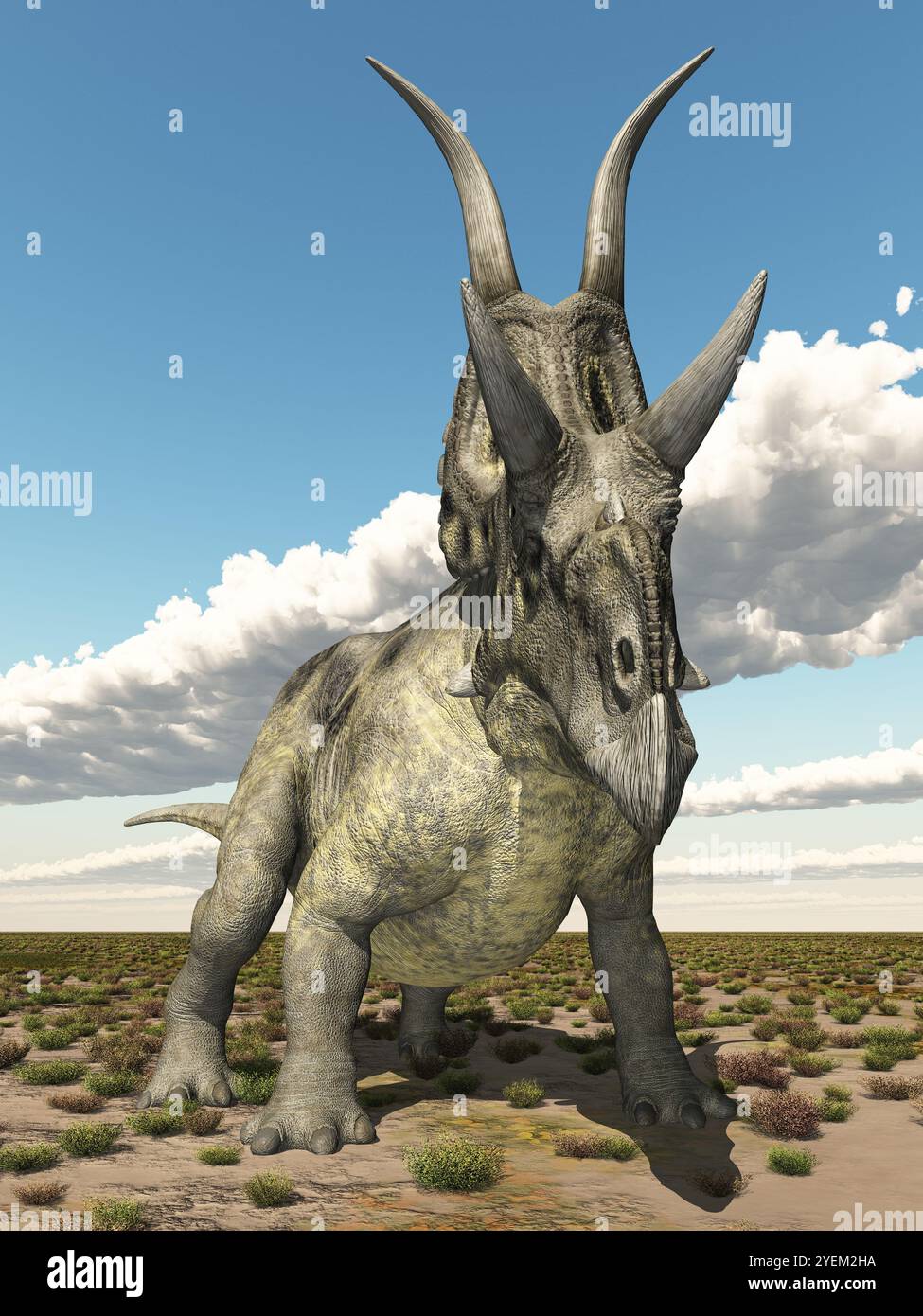 Diabloceratops hi-res stock photography and images - Alamy