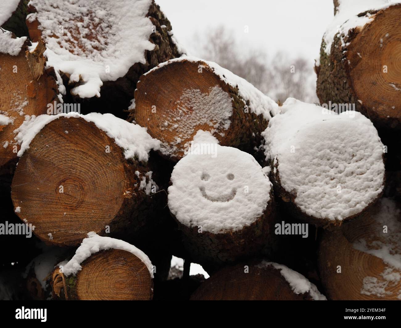 a pile of logs covered in snow with a smiley face drawn on one Stock ...