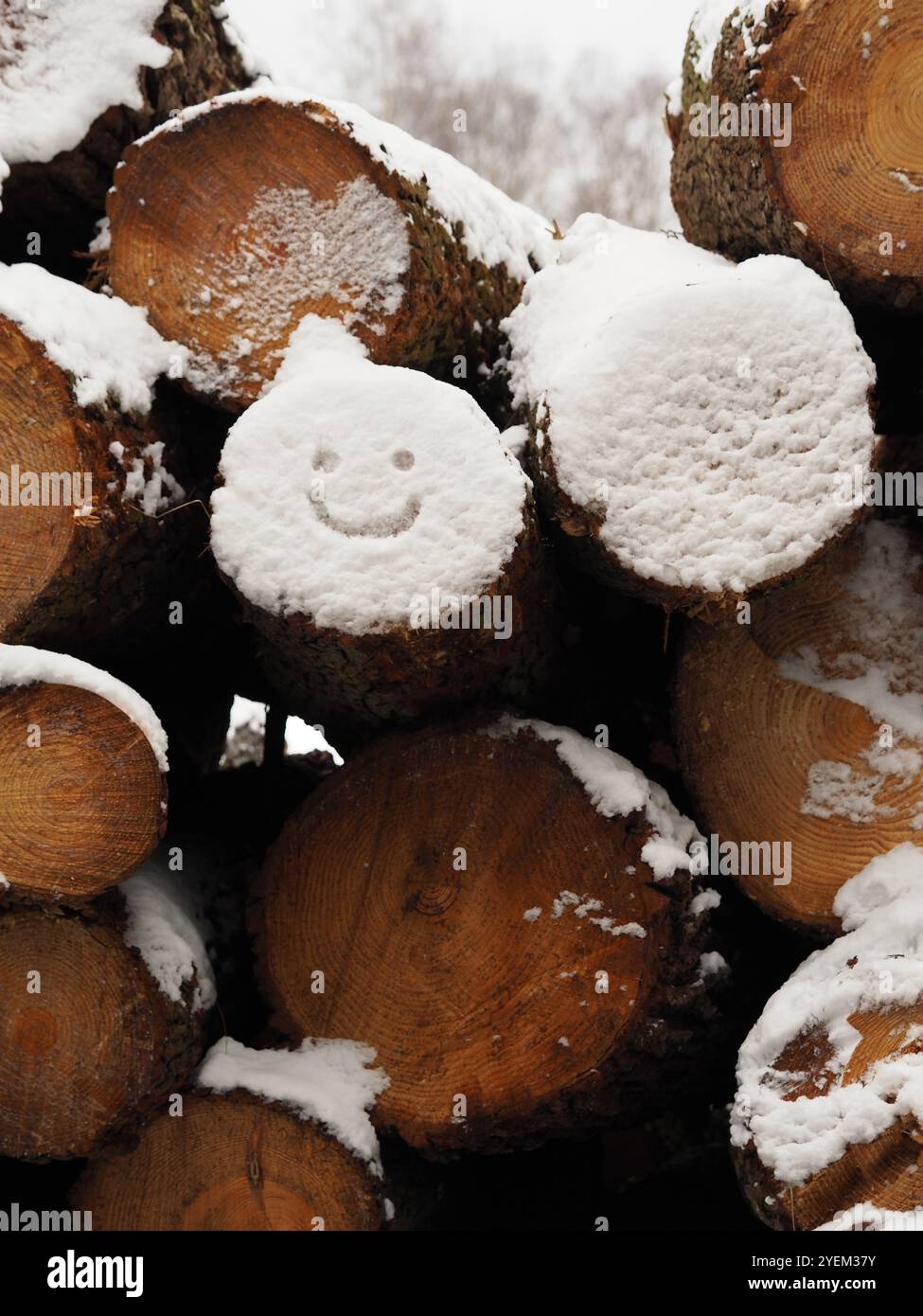 a pile of logs covered in snow with a smiley face drawn on one Stock ...