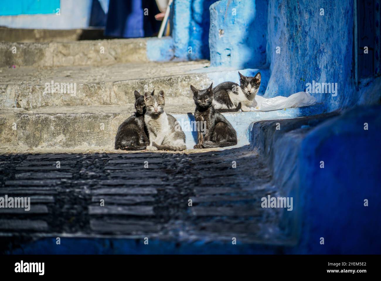 The Blue Town Stock Photo - Alamy