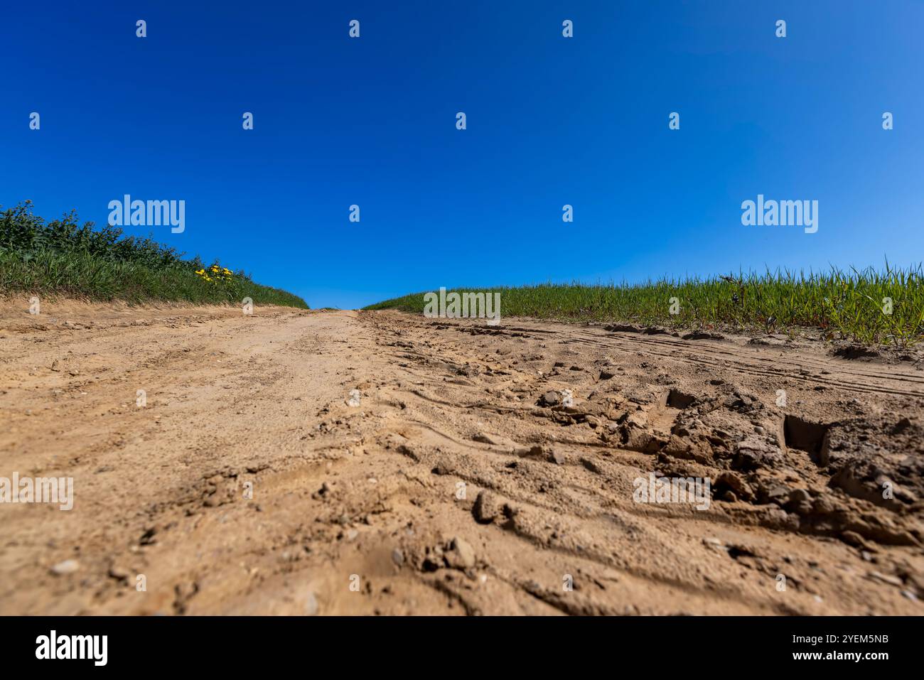 part of the road in the field for agricultural transport, sand formed ...