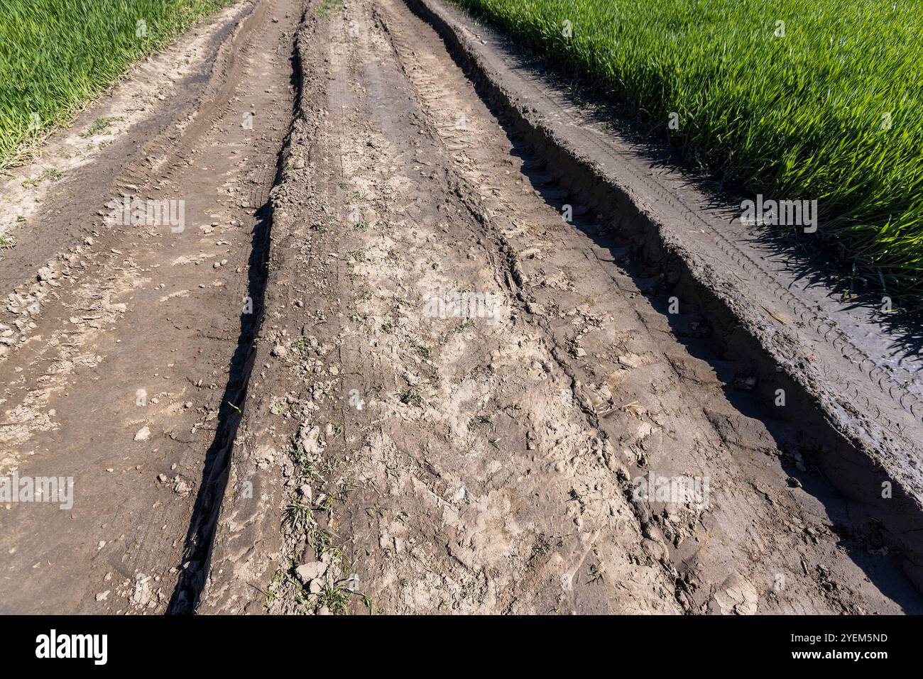 deep track on the road in the field, part of the road in the field is ...