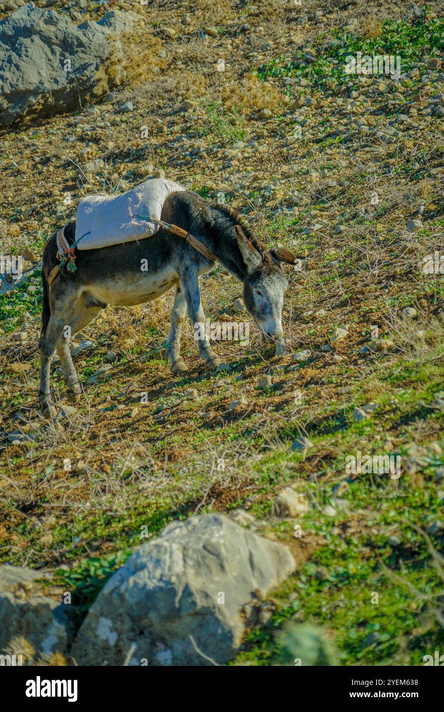 The Blue Town Stock Photo - Alamy