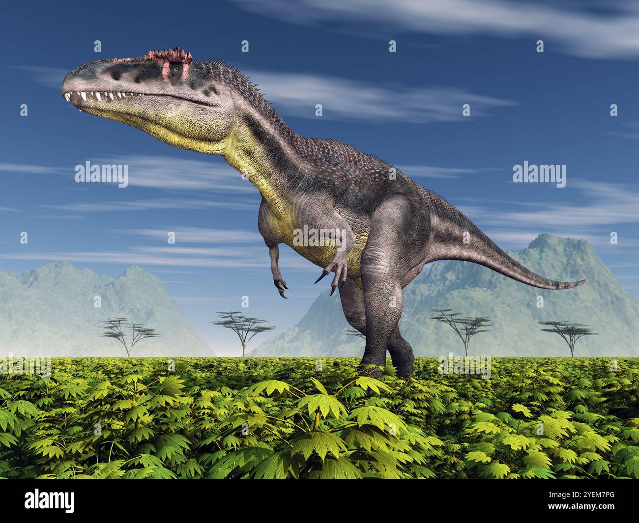 Tyrannotitan dinosaur hi-res stock photography and images - Alamy