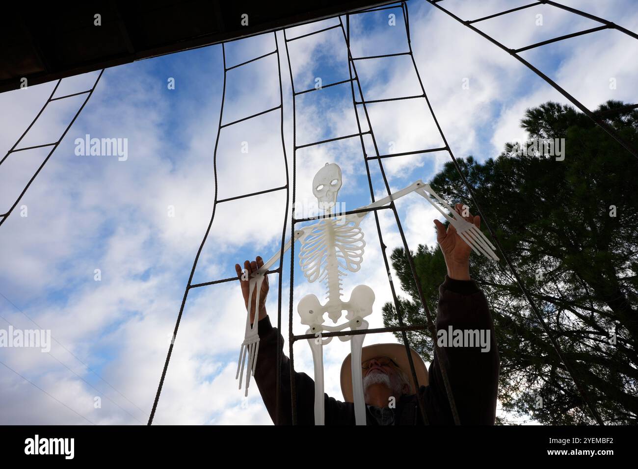 Sam Schultz hangs a halloween skeleton on ladders used to climb over ...
