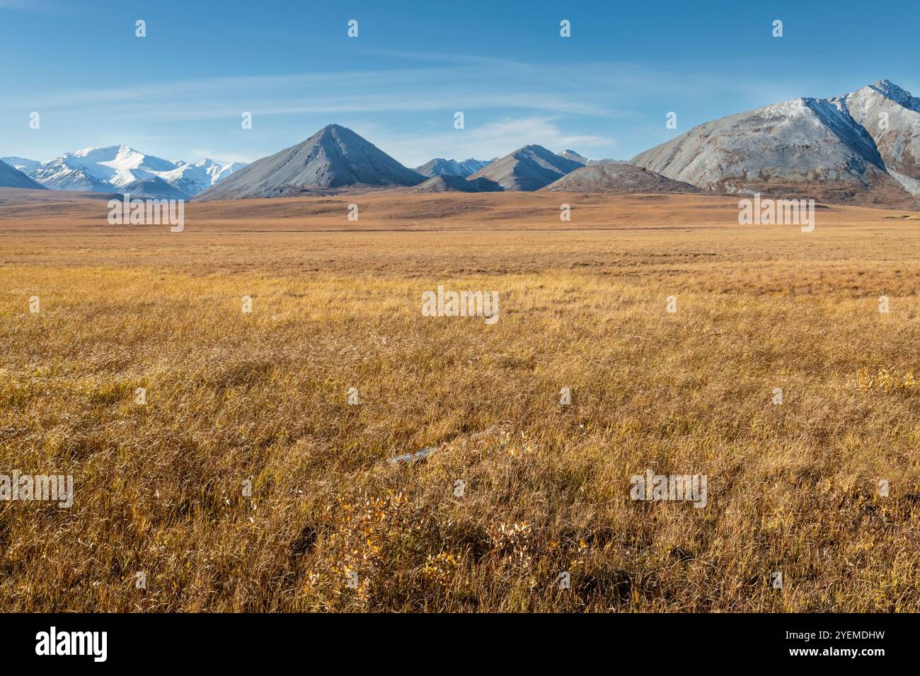 Brooks Range, tundra, autumn, Alaska Stock Photo - Alamy