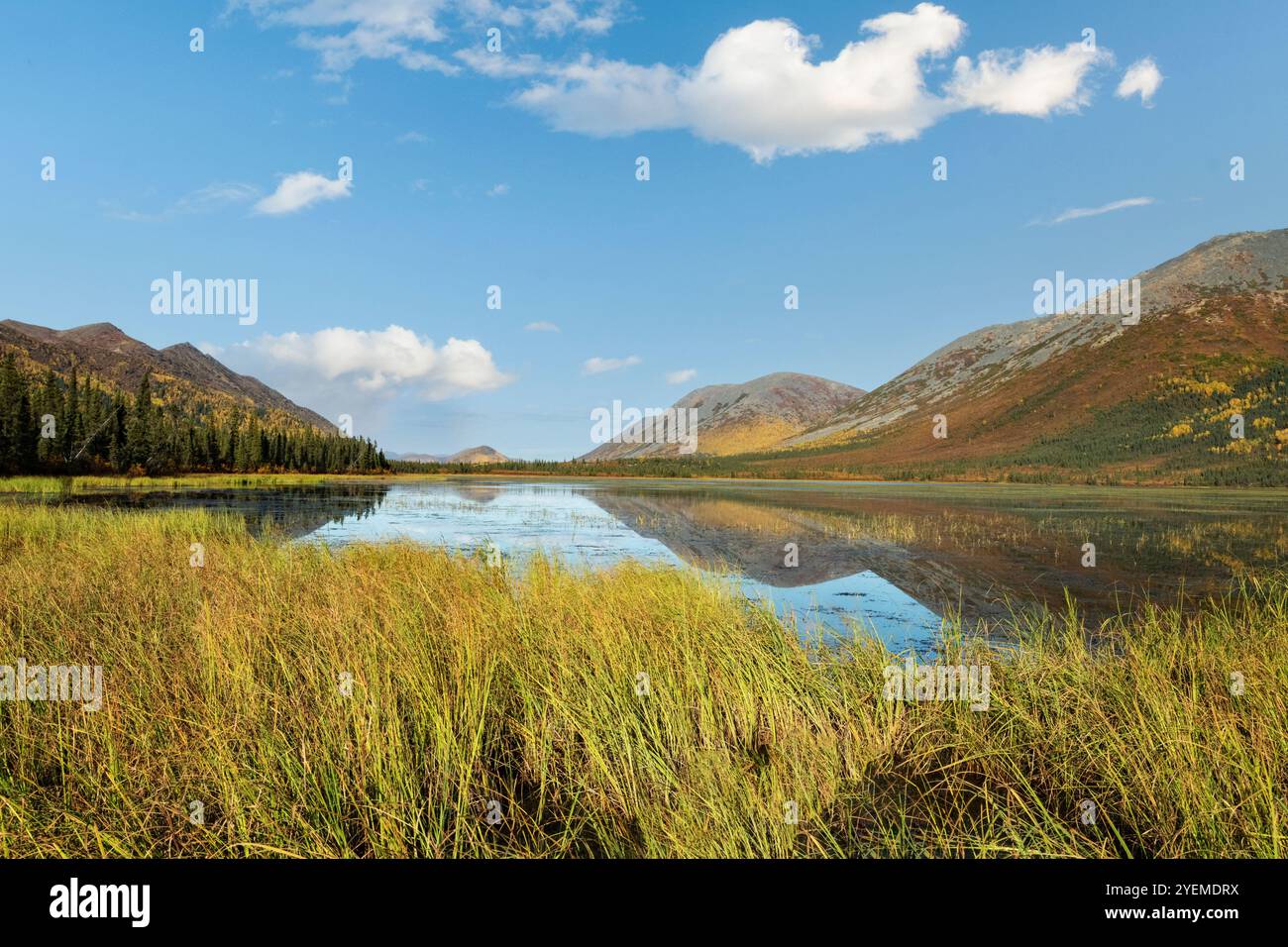 Greyling lake hi-res stock photography and images - Alamy