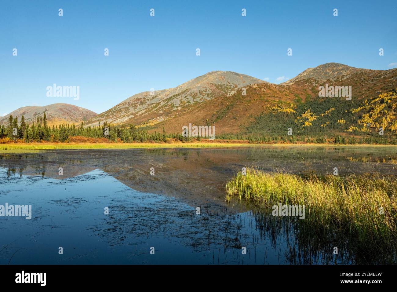 Greyling lake hi-res stock photography and images - Alamy