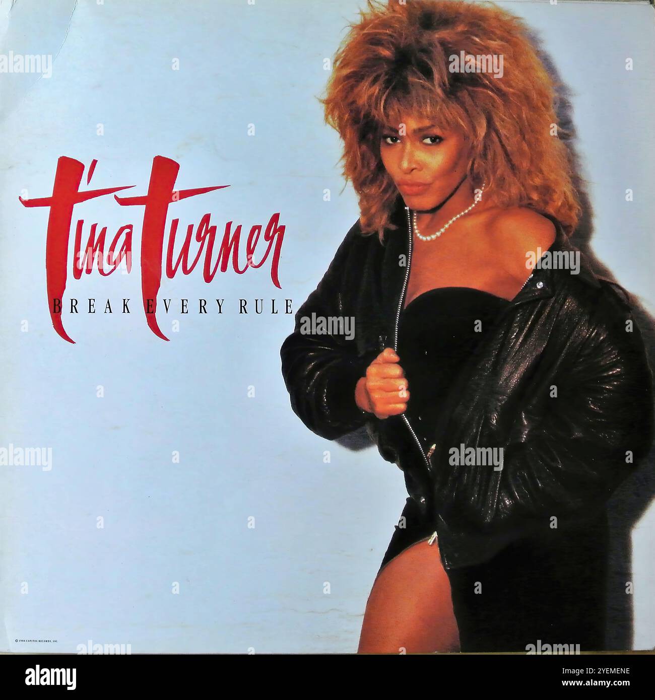 Tina Turner - Break Every Rule - Original Vinyl Cover Stock Photo - Alamy